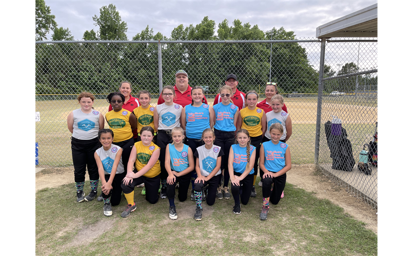 Home [www.twinriverssoftball.com]